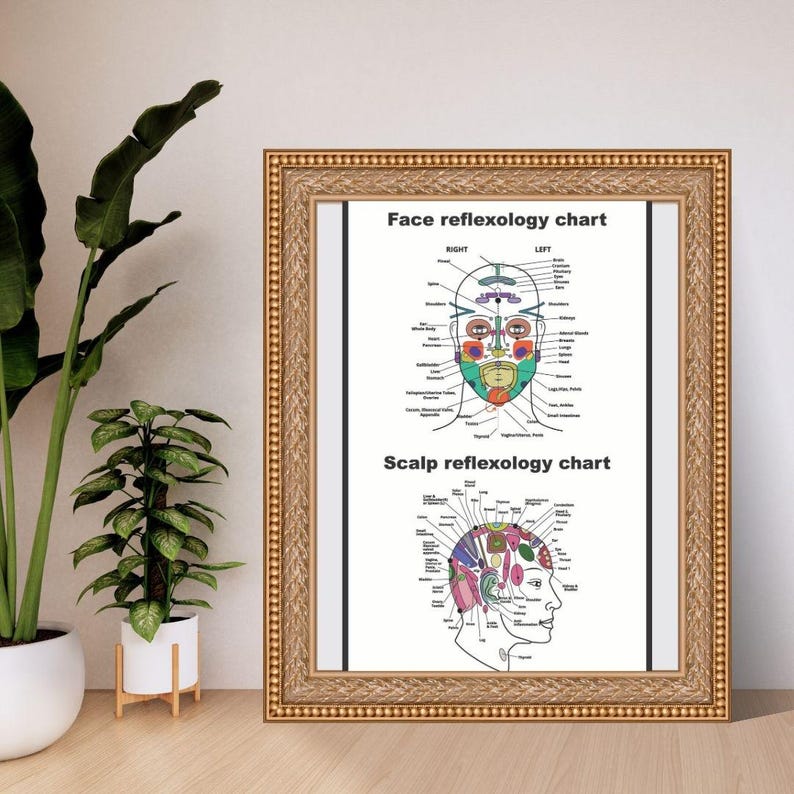 Face & Scalp Reflexology Chart: Acupressure Points (digital Download ...