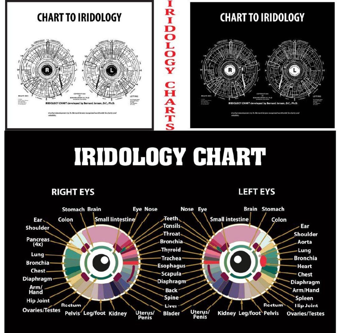 Dr. Bernard Jensen Iridology Chart Set: Eye Reflex Analysis (digital ...