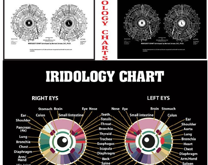 Iridology Chart, Iridology Map of the Eye Pupil. up to 20 X 30 Inches ...