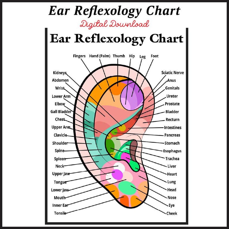 Reflexology Charts: Hand, Foot, Ear, Scalp & Spine (digital Download ...