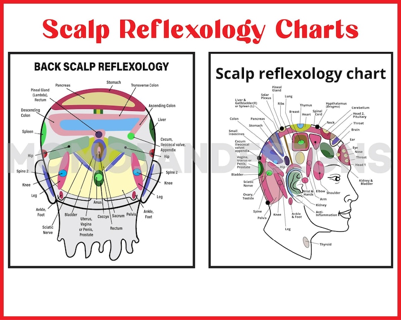 Reflexology Charts: Hand, Foot, Ear, Scalp, Spine, Lips & Tongue ...