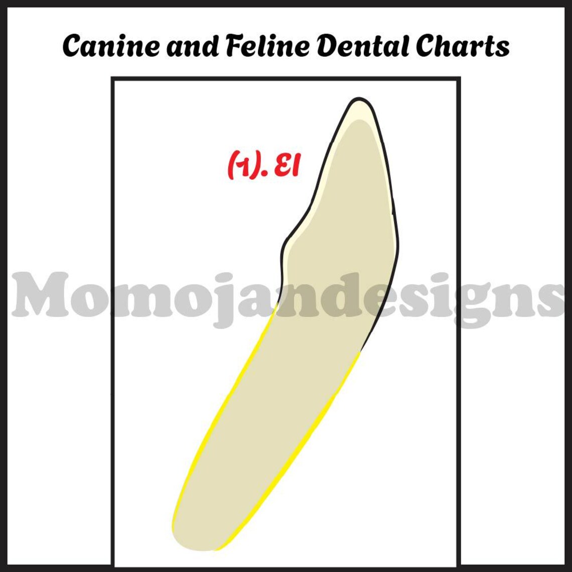 Dog & Cat Dental Anatomy Chart: Veterinary Poster (digital Download ...