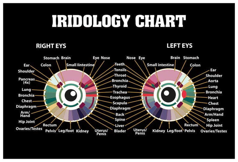 Dr. Bernard Jensen Iridology Chart Set: Eye Reflex Analysis (digital ...