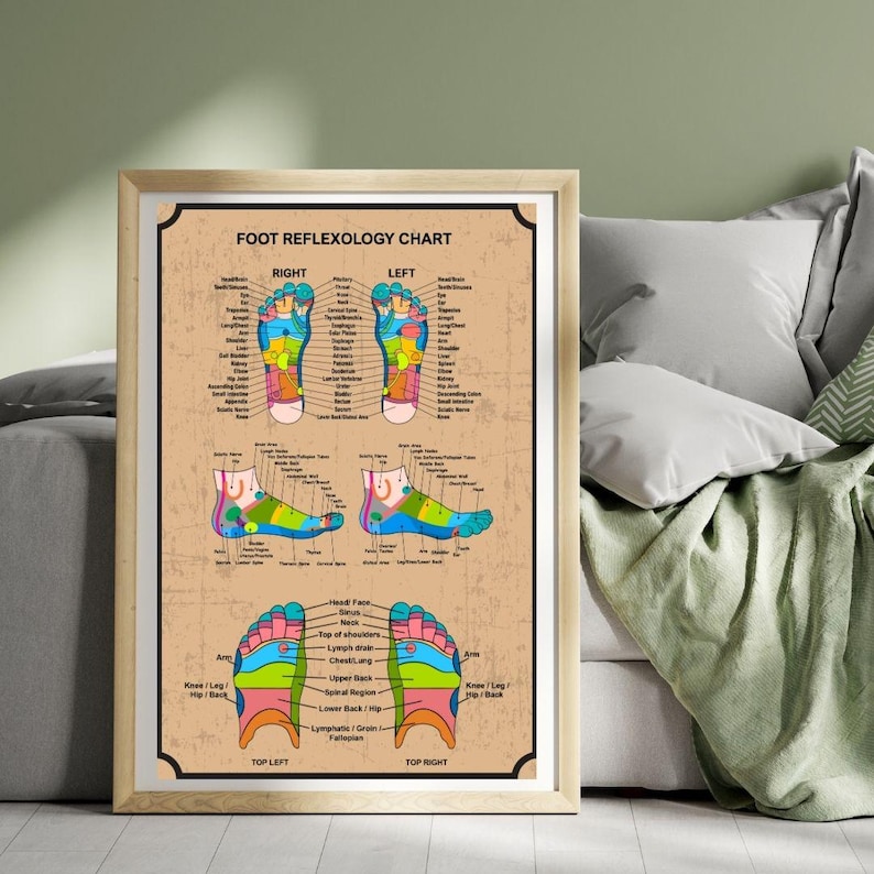 Foot Reflexology Chart: Acupressure Points Map for Massage Therapy (PDF ...