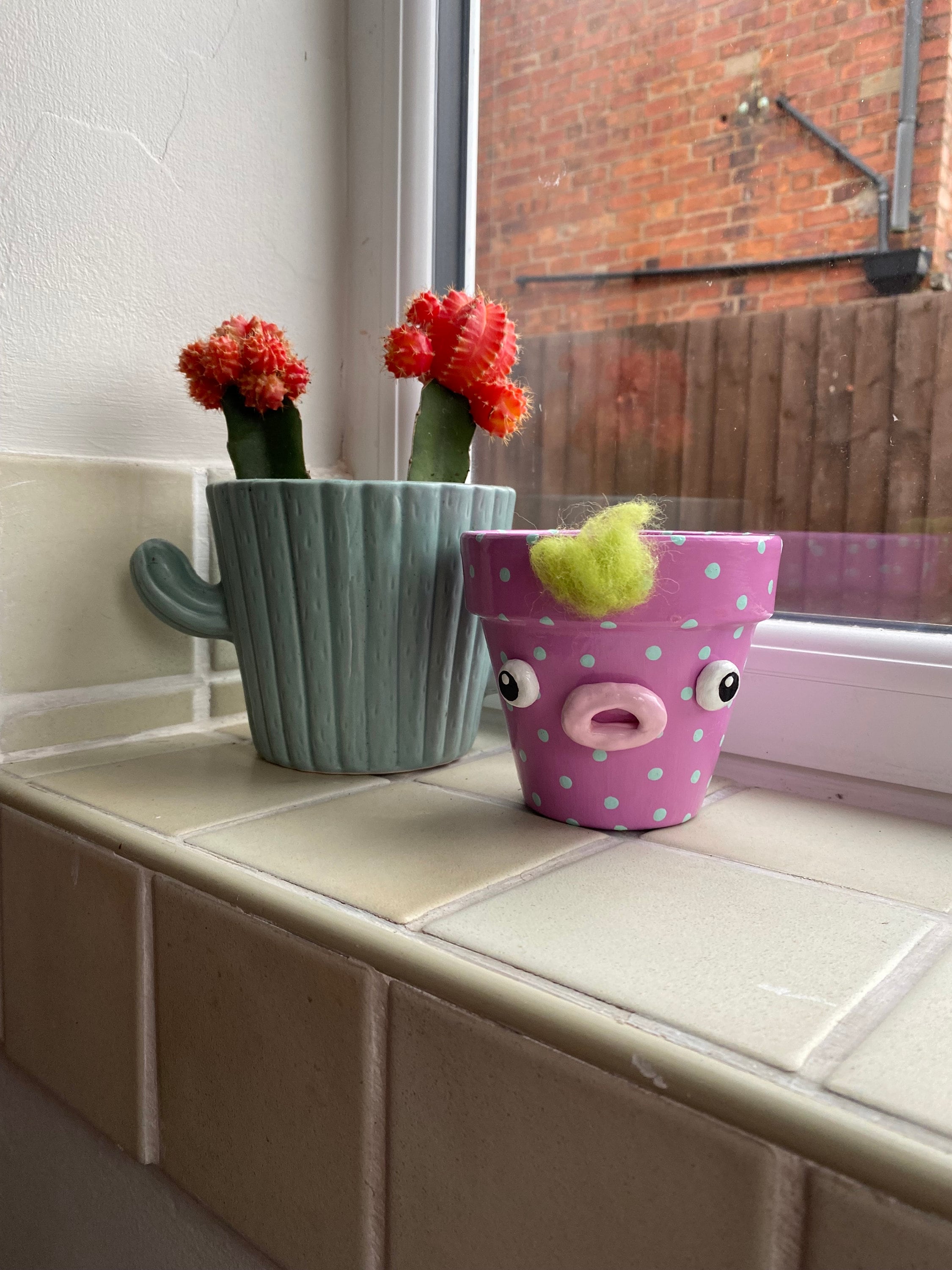 Hand-painted Indoor Plant Pot: Unique Varnished Decor - Etsy