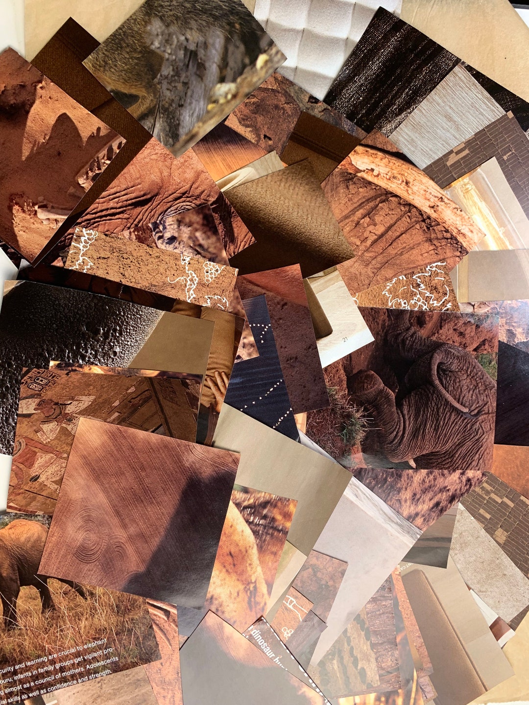 Magazine Collage Paper; Pre-sorted Colors – Warm Hues; Perfect for PET ...