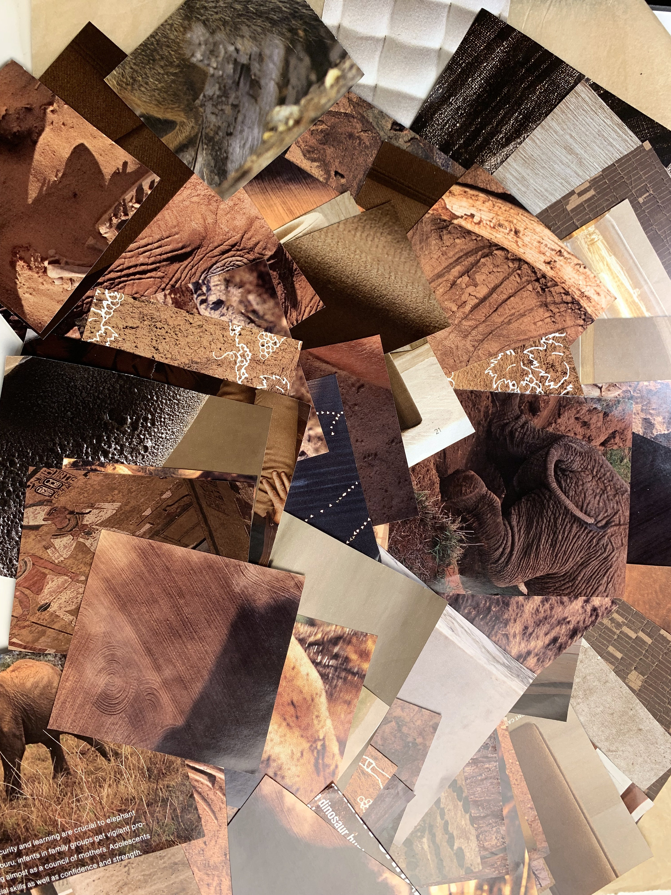 Magazine Collage Paper Pre-sorted Colors Warm Hues Perfect - Etsy