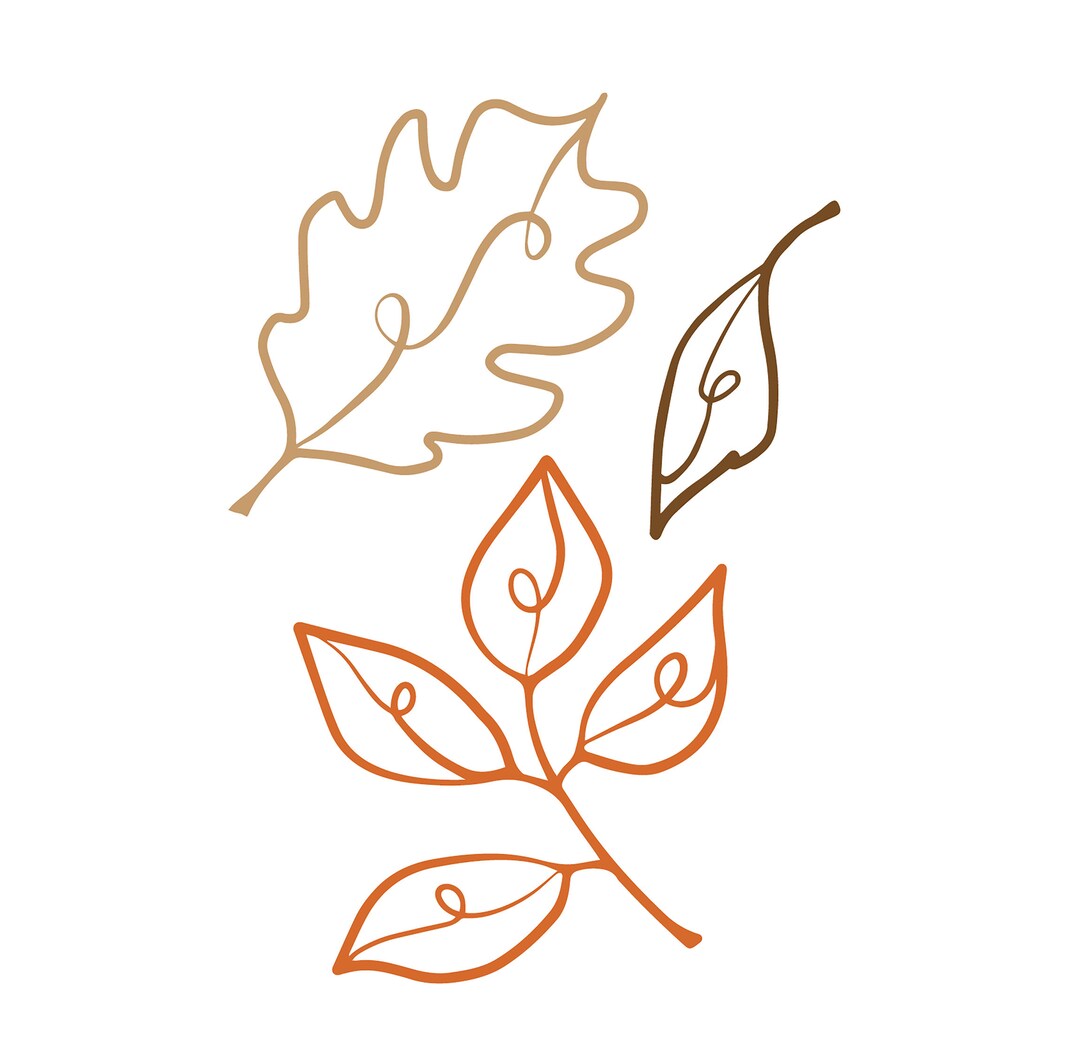 Elegant Leaf Doodles and Leaf Pattern — Immediate Digital Download ...