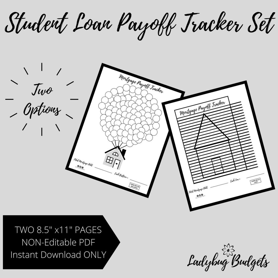 Student Loan Payoff Tracker Student Loan Debt Dave Ramsey | Etsy