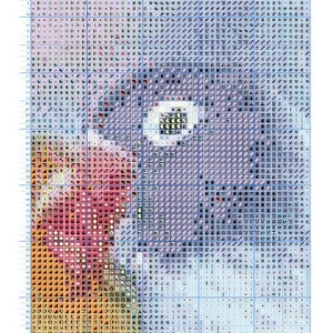 Parrot Cross Stitch Pattern Funny Parrot Cross Stitch Hand Embroidery ...