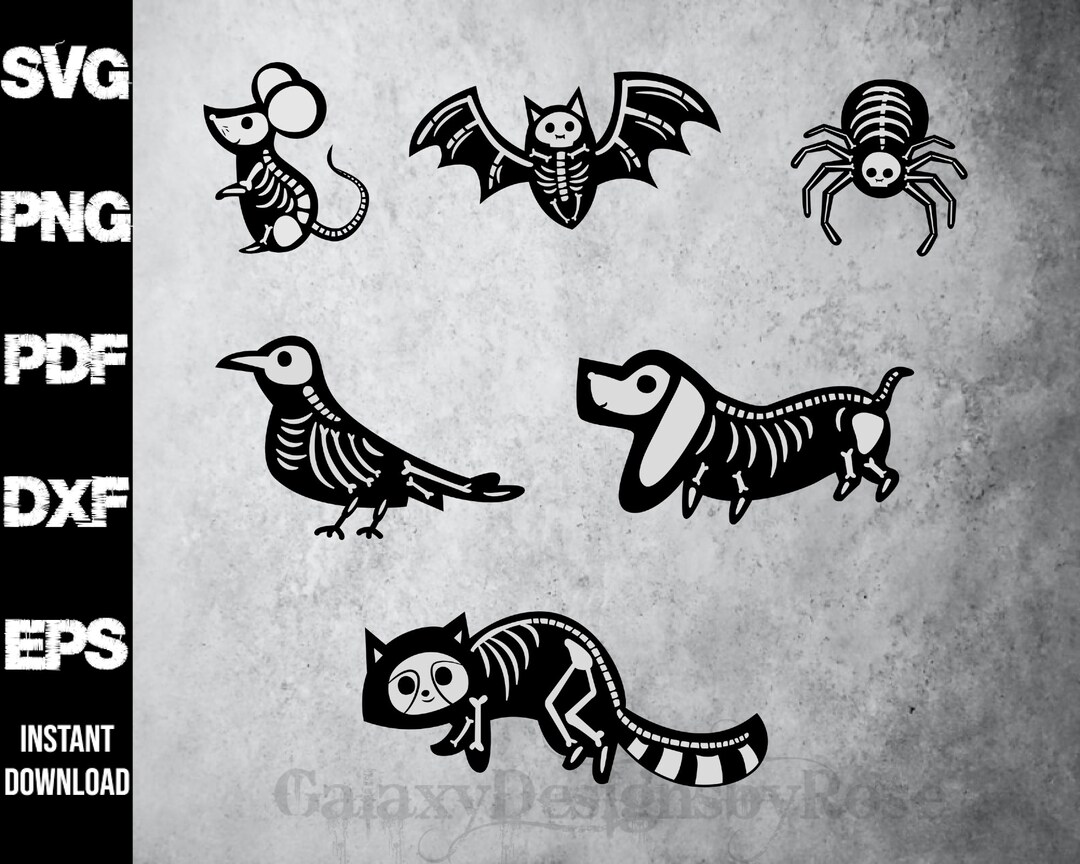 SVG Skeleton Animals, Png, Pdf, Dxf, Eps, Happy Halloween SVG, Bat Svg ...