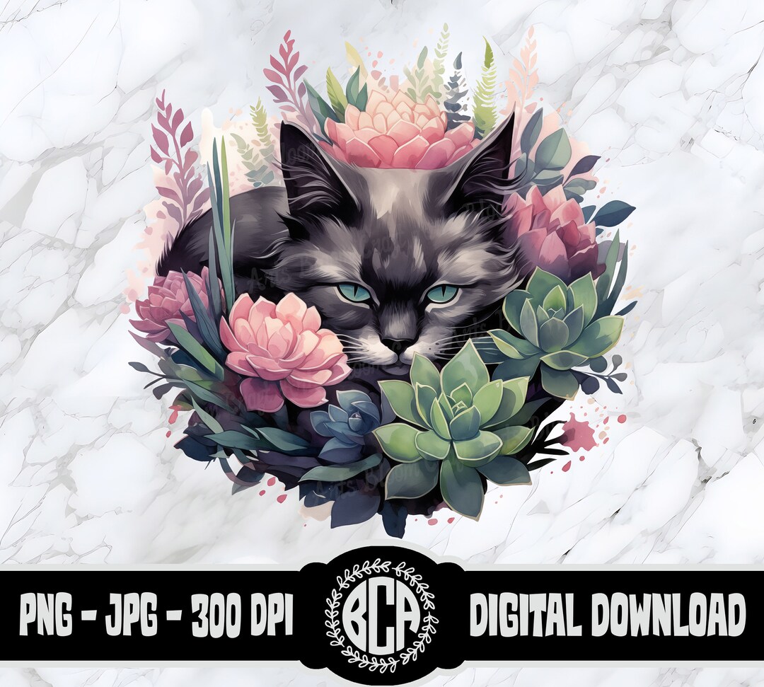 Floral Cat PNG | Floral Cat Clipart | Cat With Succulents PNG ...