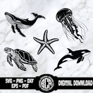 Ocean Life SVG Bundle | Sea Creatures Clipart | Marine Animals SVG Pack ...