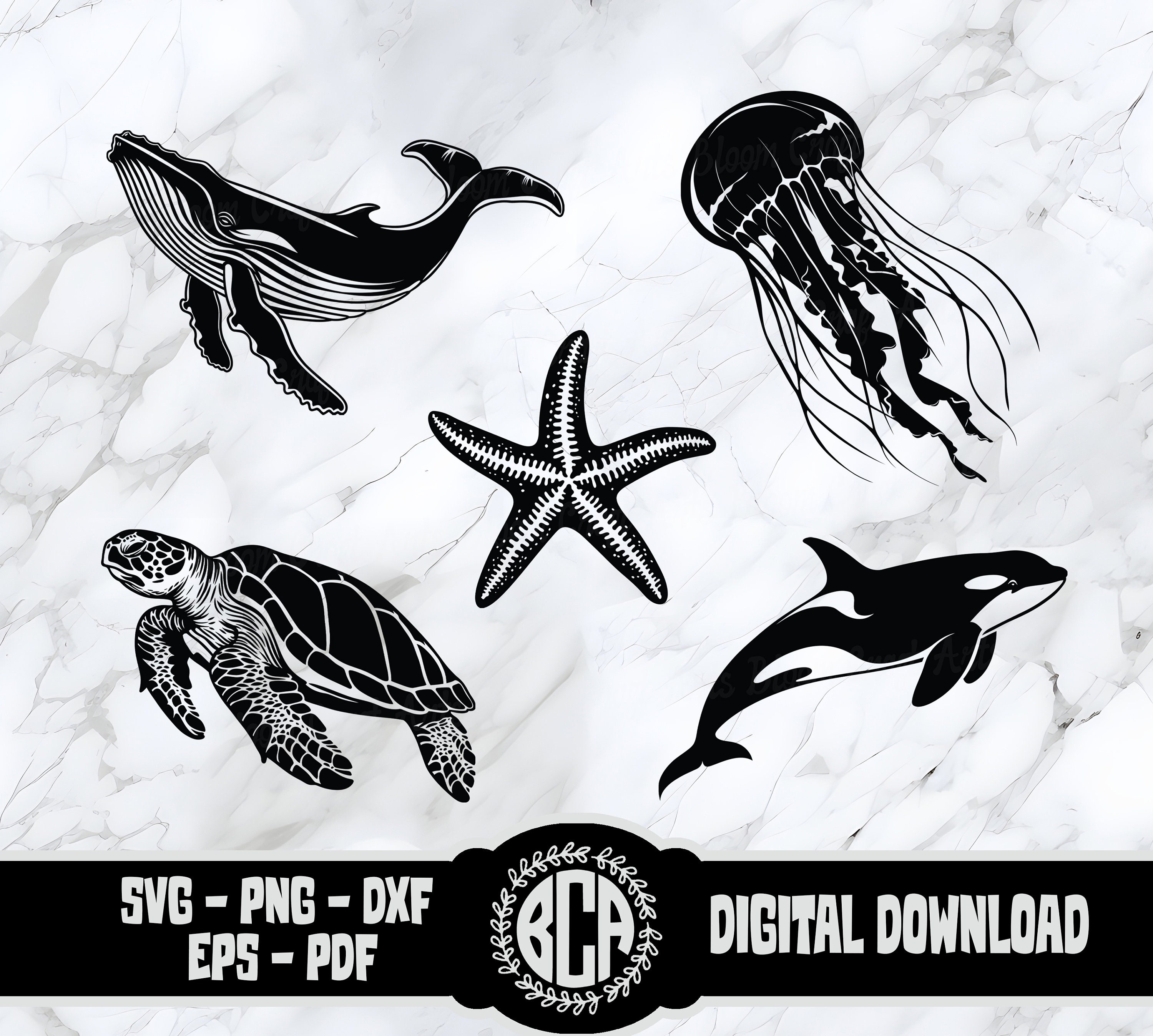 Ocean Life SVG Bundle | Sea Creatures Clipart | Marine Animals SVG Pack ...