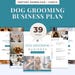 Dog Grooming Business Plan Template: Mobile Salon Startup (PDF) - Etsy