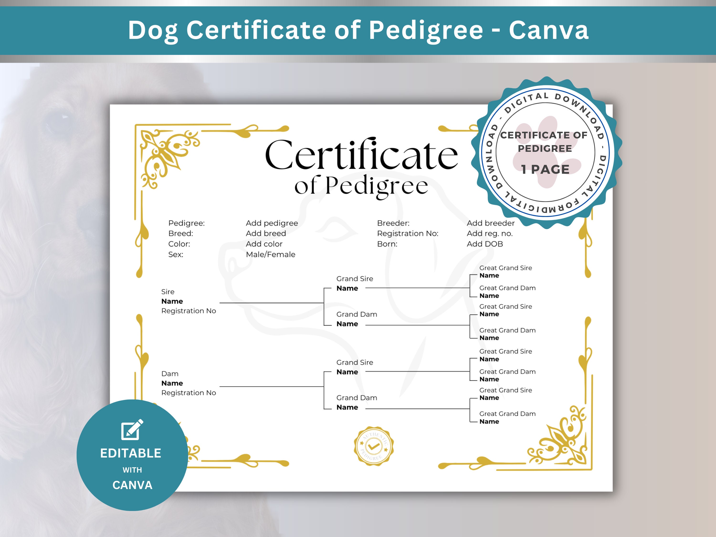 Certificate of Pedigree That Shows 3 Generations of Traceable ...