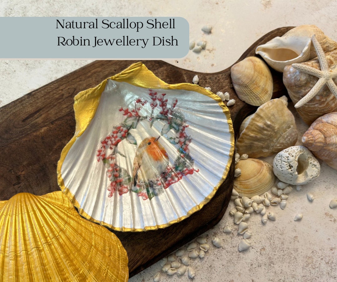 Robin Scallop Shell Jewellery Dish. Robin Gift for Christmas. Memorial ...