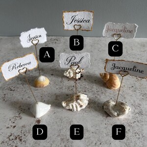 Personalised Shell Name Cards. Seashell Name Card Holder. Gold Edged ...