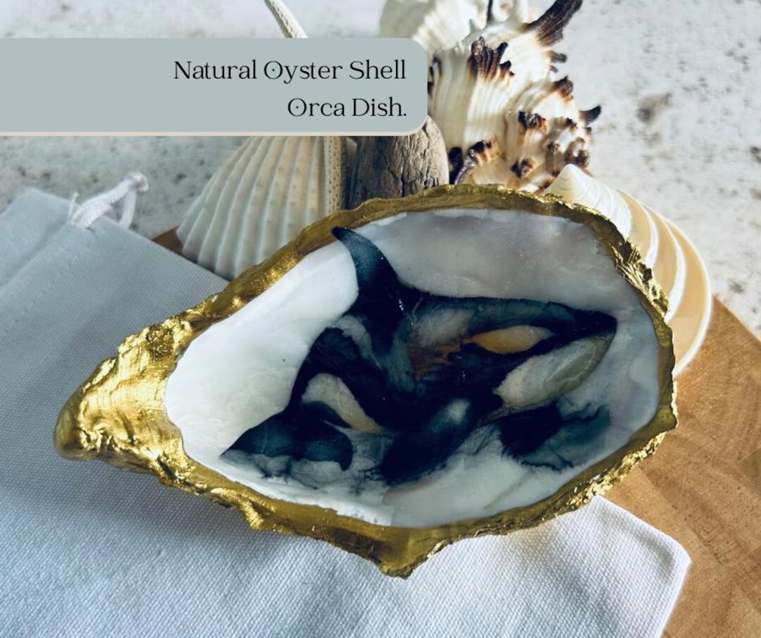 Killer Whale Oyster Shell Dish. Orca Desk Tidy Gift for a Sea Life ...