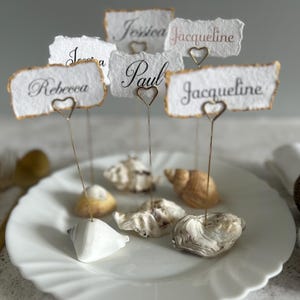 Personalised Shell Name Cards. Seashell Name Card Holder. Gold Edged ...