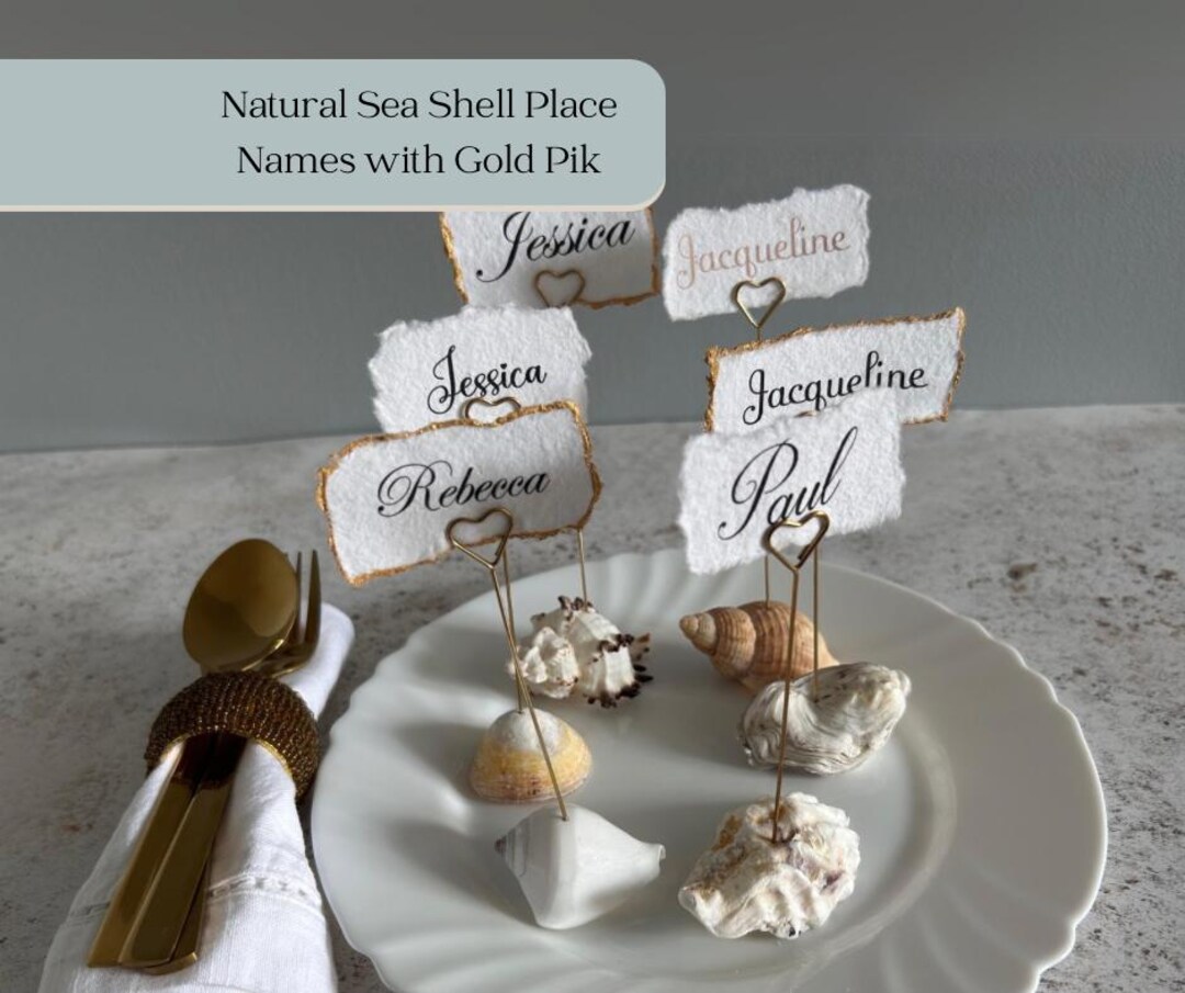Personalised Shell Name Cards. Seashell Name Card Holder. Gold Edged ...