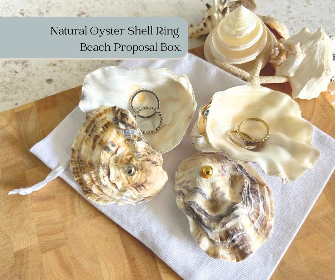 Natural Whole Oyster Shell Ring Box. Beach Wedding Ring Holder ...
