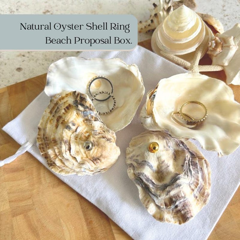 Seashell Ring Box - Etsy