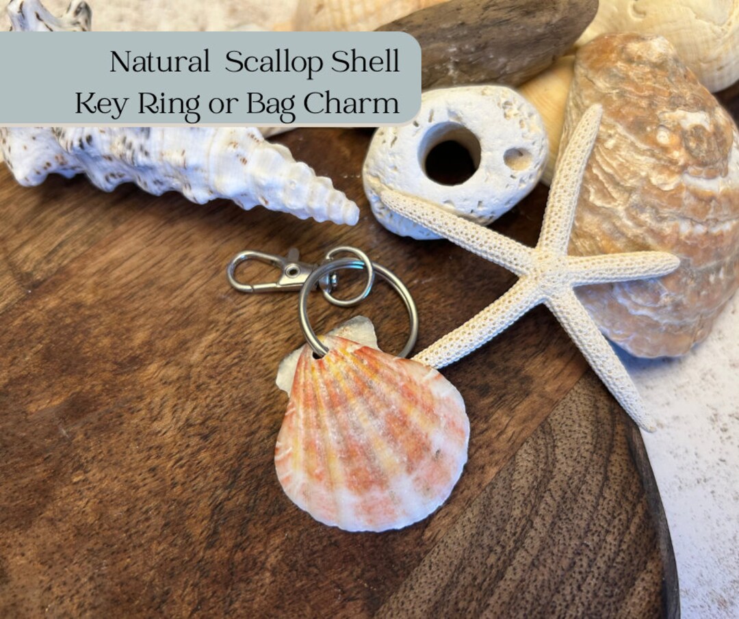 Shell Keyring or Beach Bag Charm. Under the Sea Themed Party Bag Gift or a Beach Wedding Favour ...
