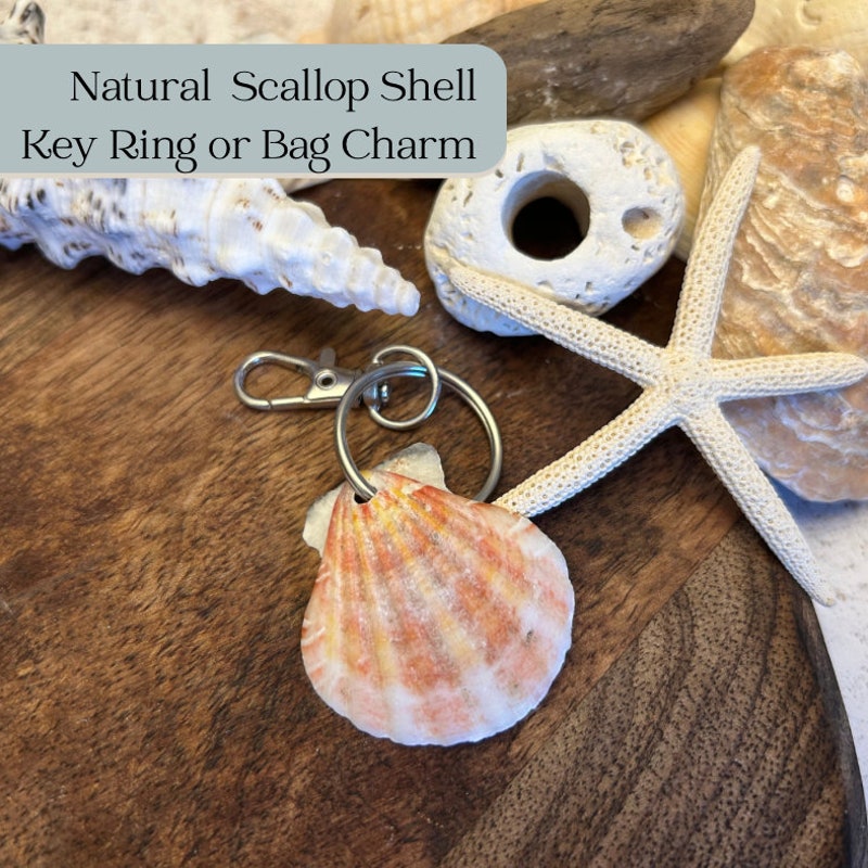 Sea Shell Keychain - Etsy