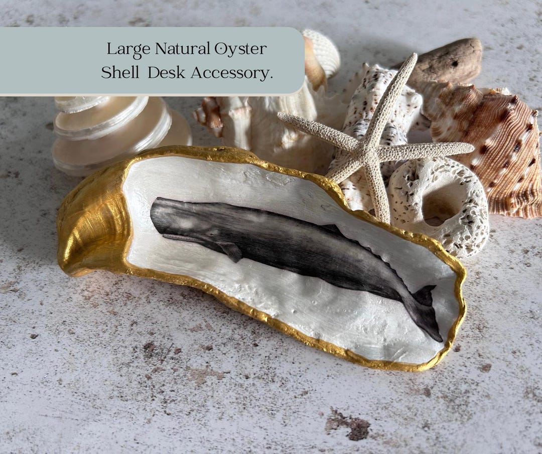 Whale Oyster Shell Desk Accessory. Black Orca Home Decoration Gift ...