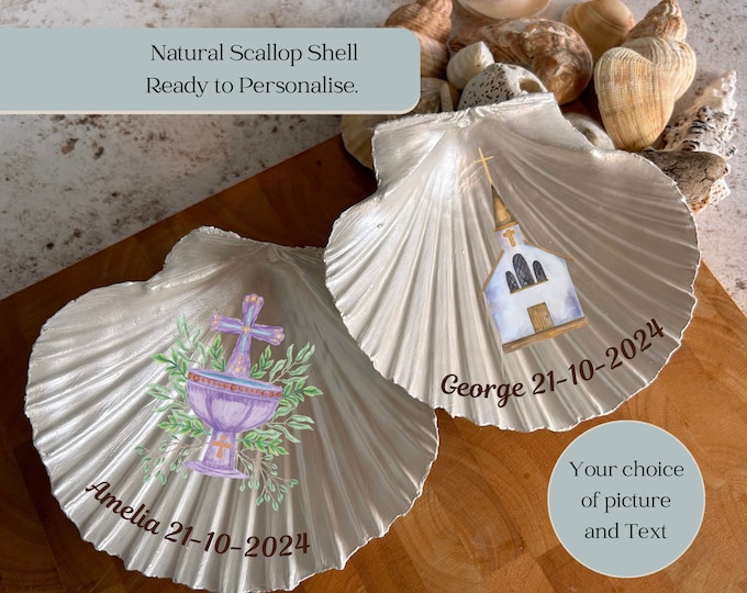 Antique Victorian Seashell Coin or Change Purse Mother of Pearl, Red ...
