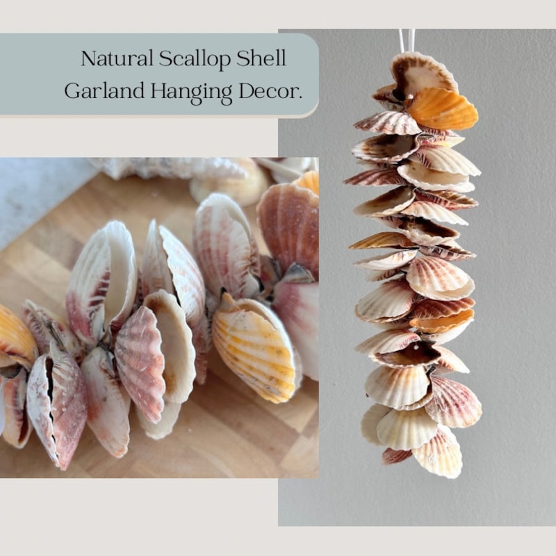 Seashell Hanging - Etsy