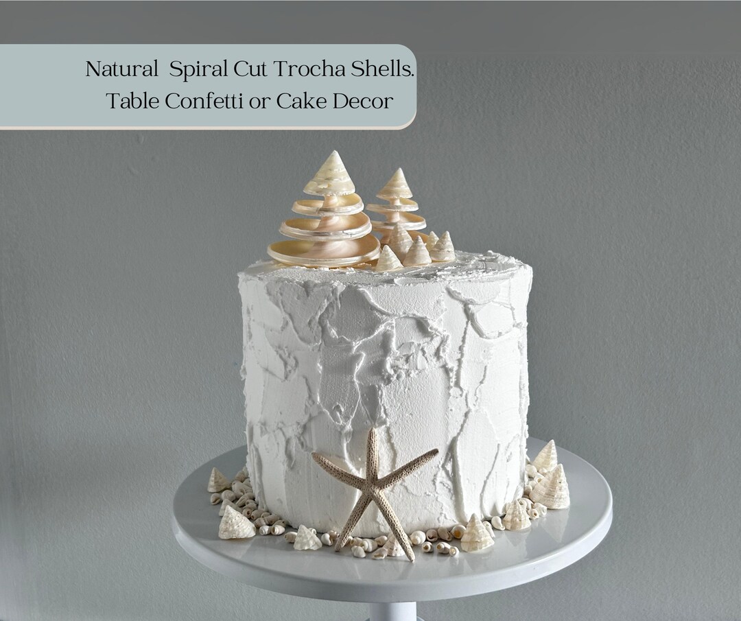 Shell Cake Topper Decoration. Natural Spiral Cut Trochus Shell Beach ...