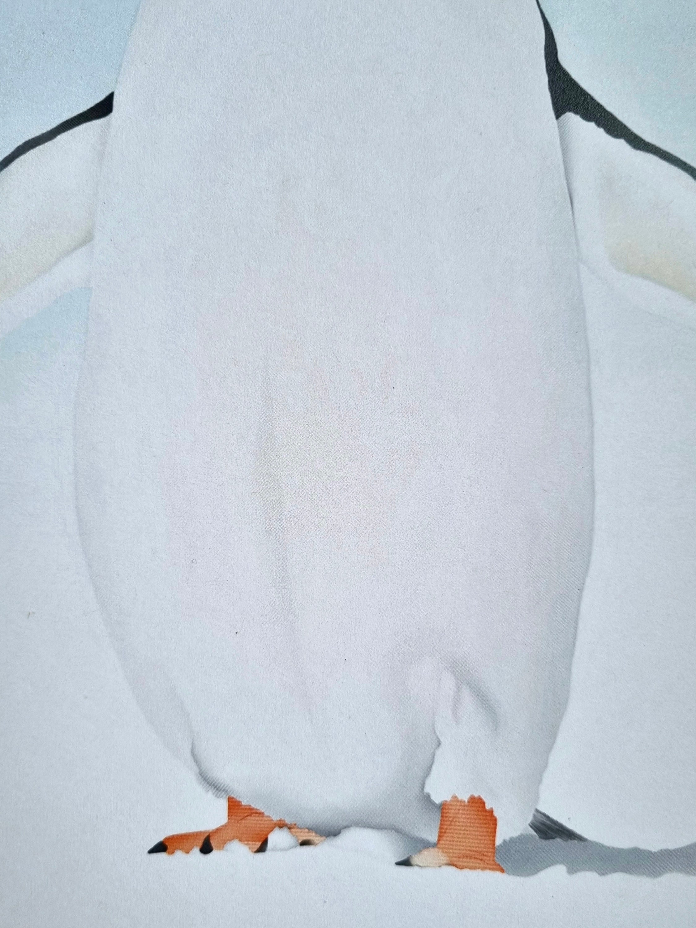 A4 Penguin Art Print / Penguin at Print / Animal Art Print / Bird Art ...