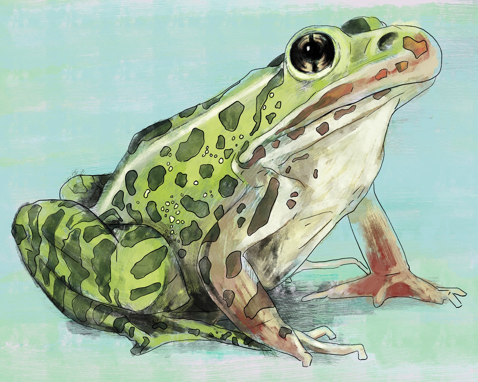 Large Wall Art 72in X 48in Stoic Frog Print Printable - Etsy.de