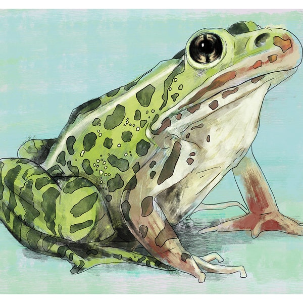 Leopard Frog - Etsy