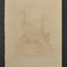 Original 1758 George Edwards Bird Print - Plate 295 - Curasso Bird and ...