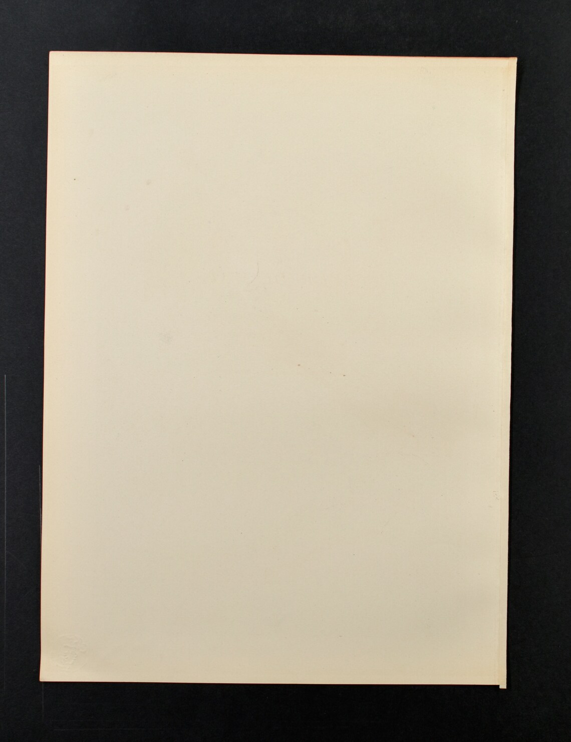 Original L'estampe Moderne Print "fleur De Lande (flower of the Moor ...