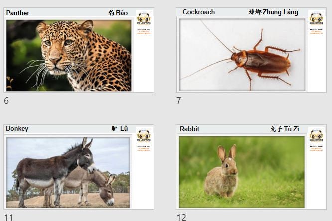 40 Learning Flashcard Mandarin-english-animals - Etsy