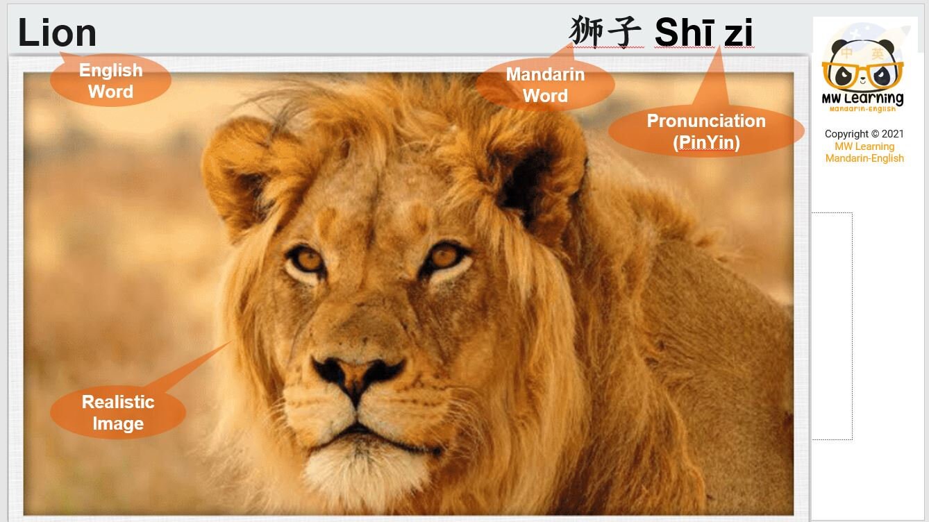 40 Learning Flashcard Mandarin-english-animals - Etsy