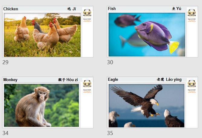 40 Learning Flashcard Mandarin-english-animals - Etsy