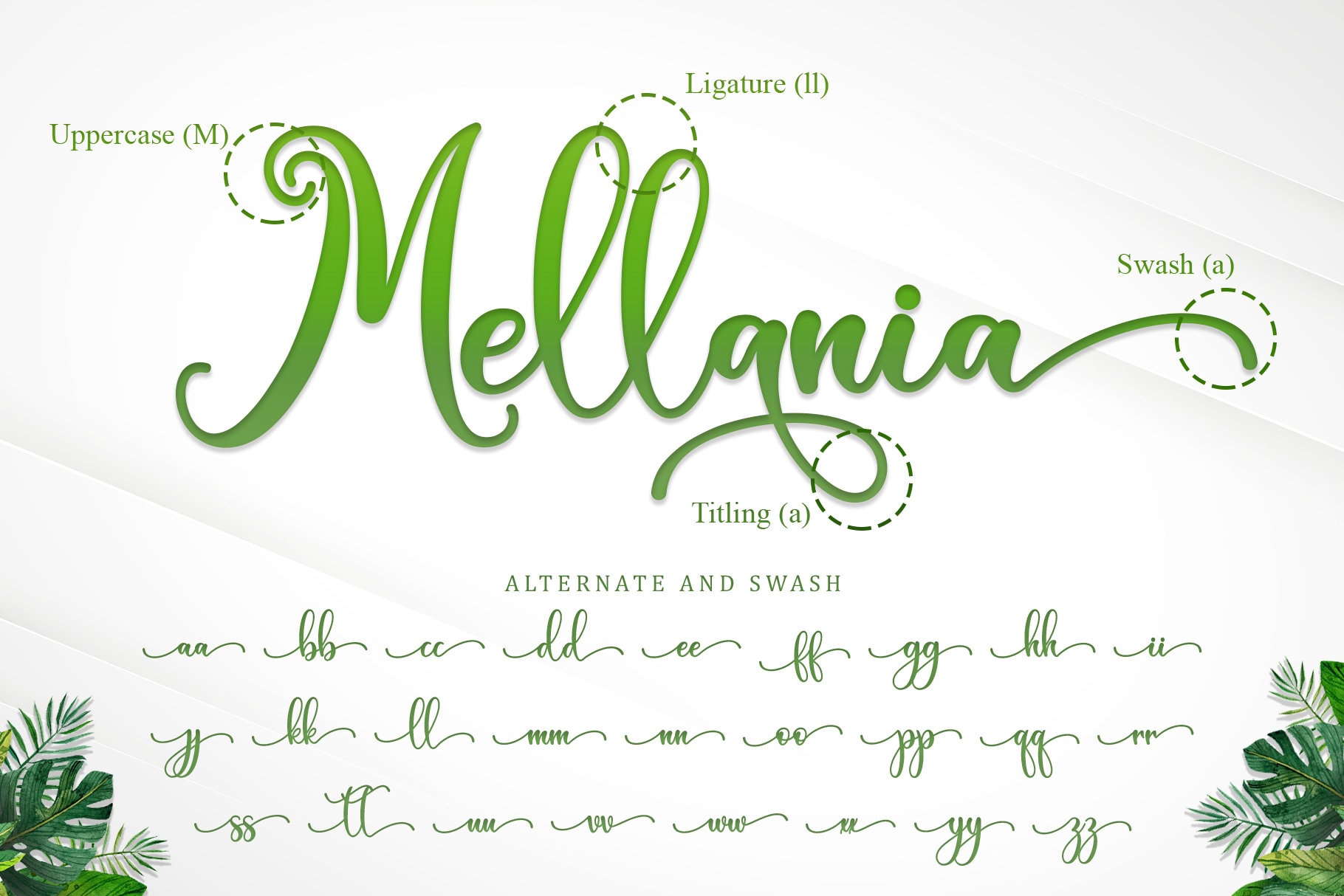 Green Leaves, Calligraphy, Script Font, Cricut Fonts, Font for Cricut ...