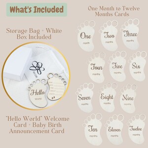 Baby Monthly Milestone Marker Discs - Wooden Monthly Milestone Cards ...