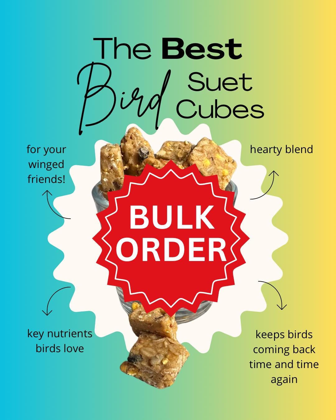 BULK - the BEST Bird Suet Cubes | Homemade Gourmet Wild Bird Safe Seed ...