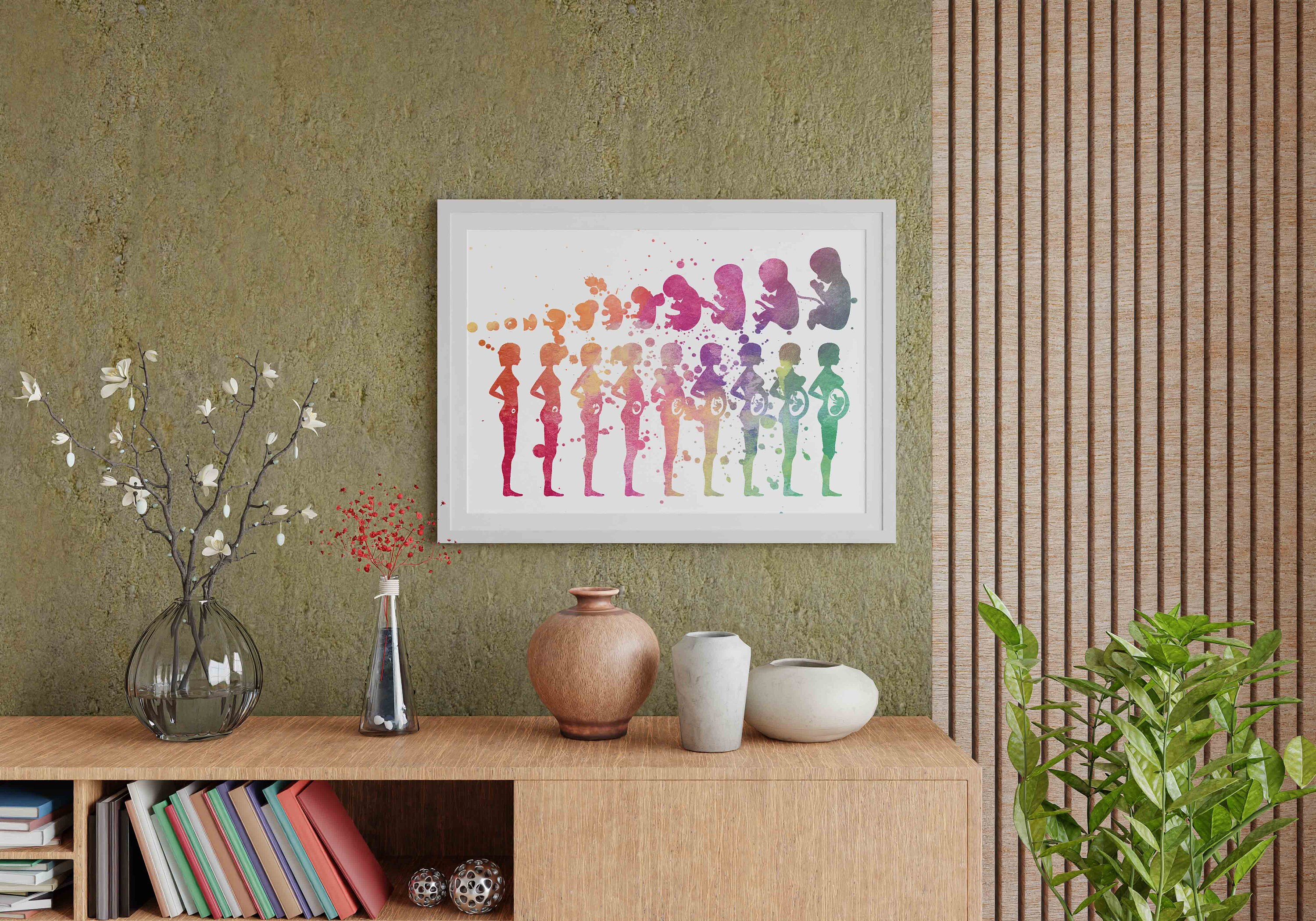 Watercolor Pregnancy Stages Poster - Gynecology Obstetrics Art OBGYN ...