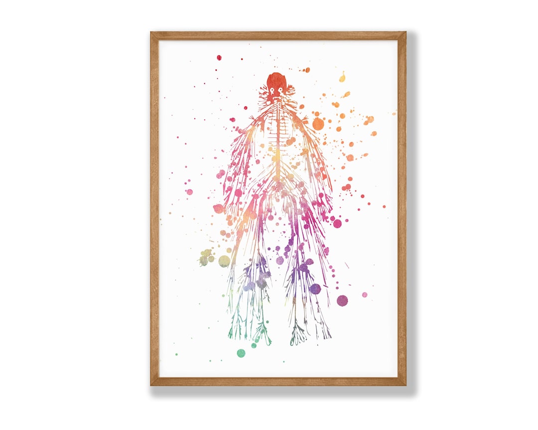 Watercolor Human Nervous System Print, Nerve Cells, Neurology Wall Art ...