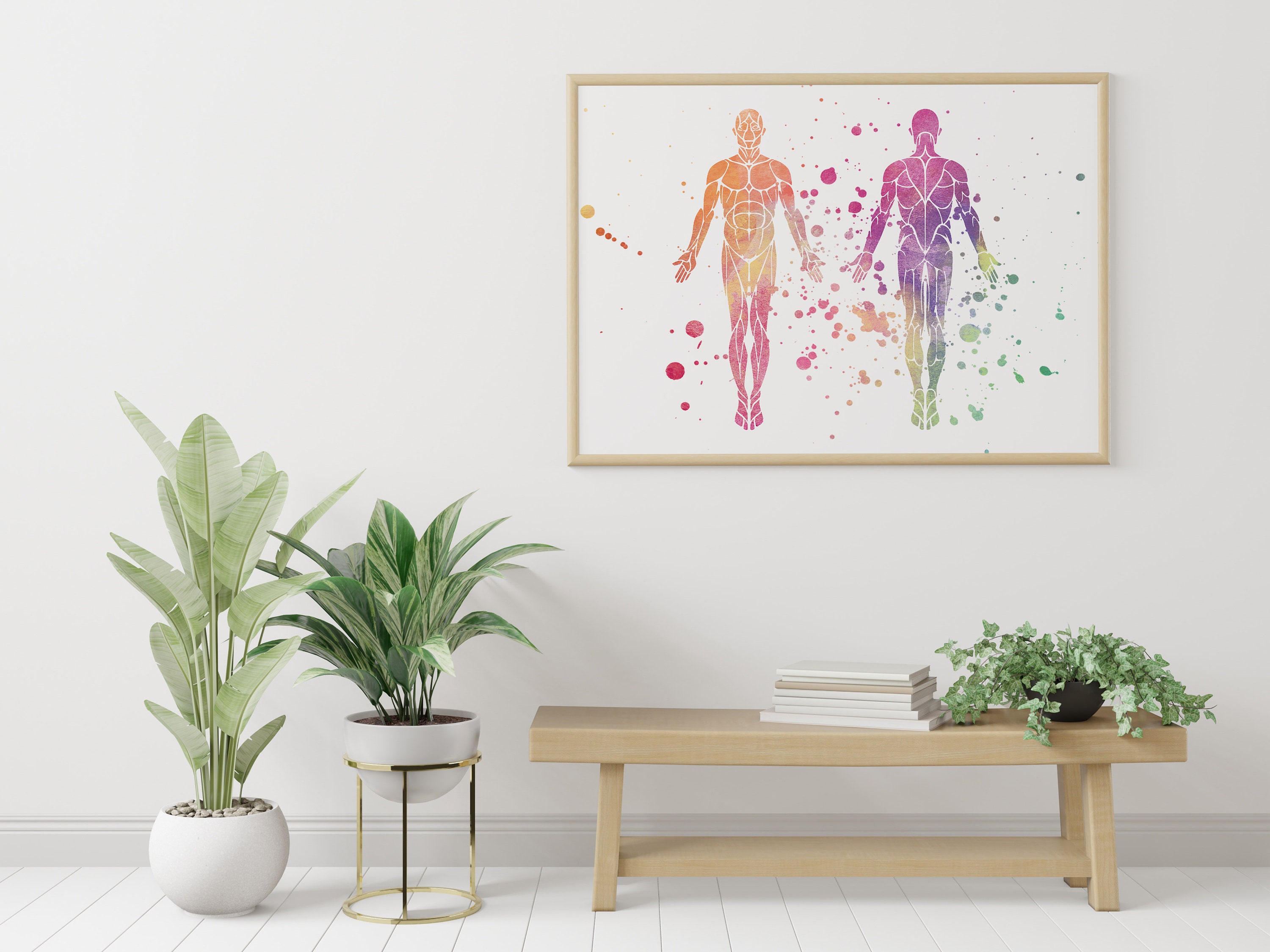 Watercolor Muscular System Poster Human Anatomy Orthopedic - Etsy