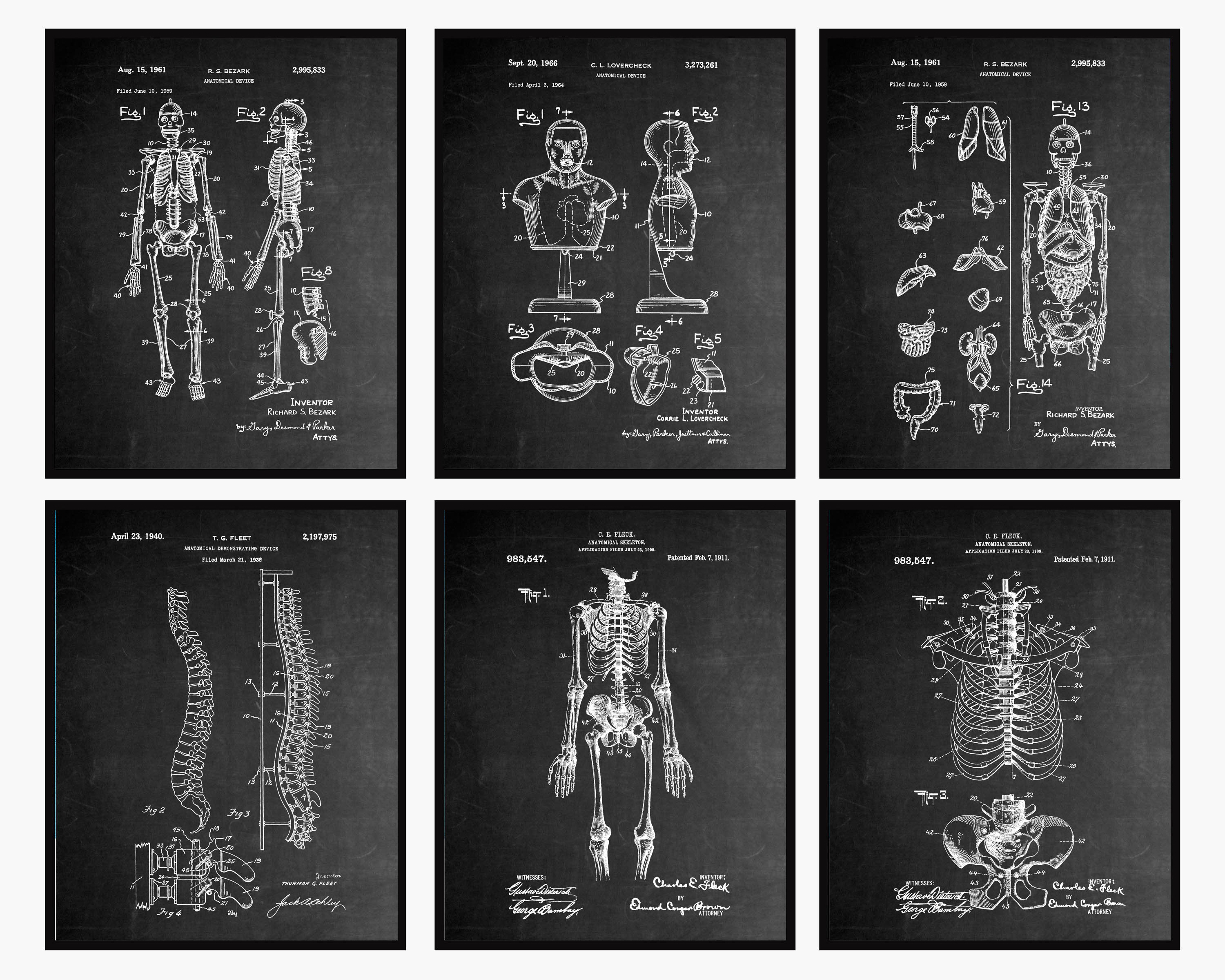 Anatomy Patent Prints Set of 6 - Medical School Decor • Medical Student ...