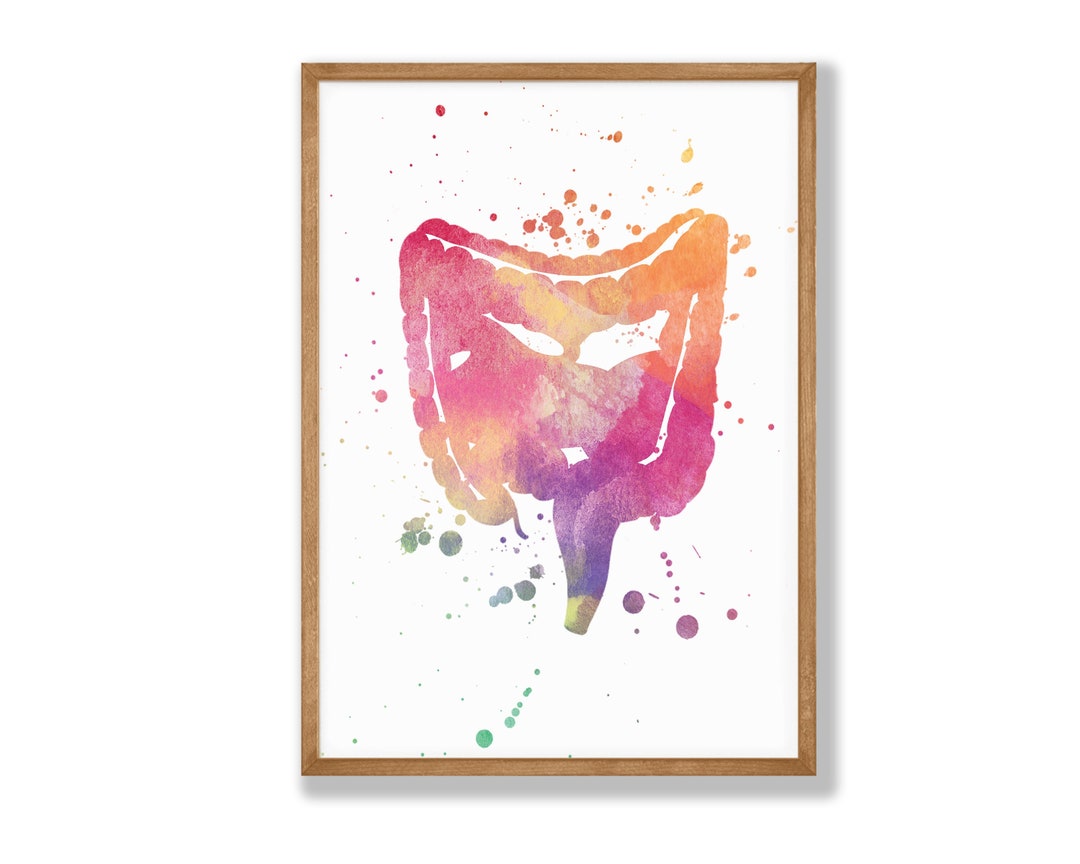 Watercolor Intestine Art Poster, Human Anatomy Print, Internal Medicine ...