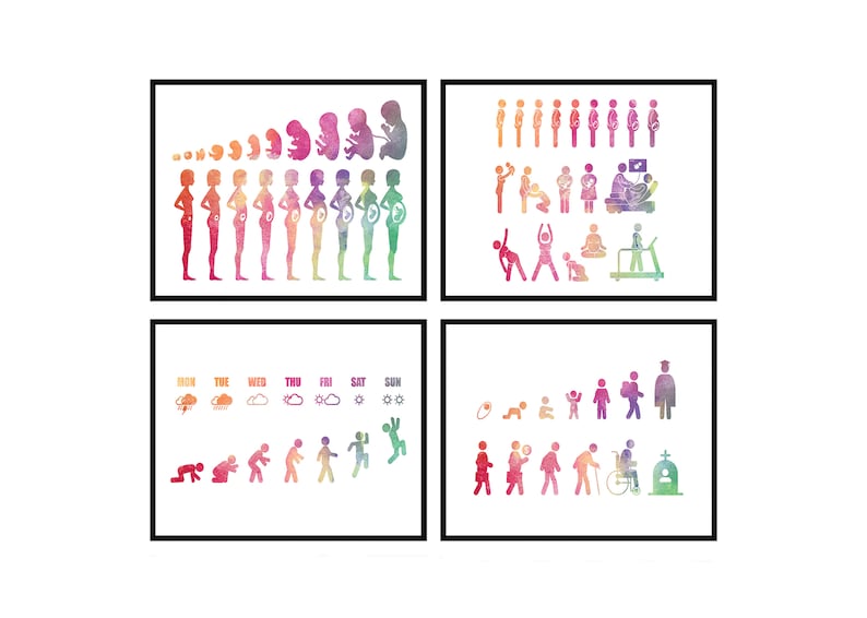 Watercolor Human Life Cycle Set of 4 - Art Home Decor, Pure Life Cycle ...